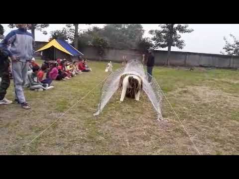 CARNIVAL DIPS TANDA(1) - YouTube