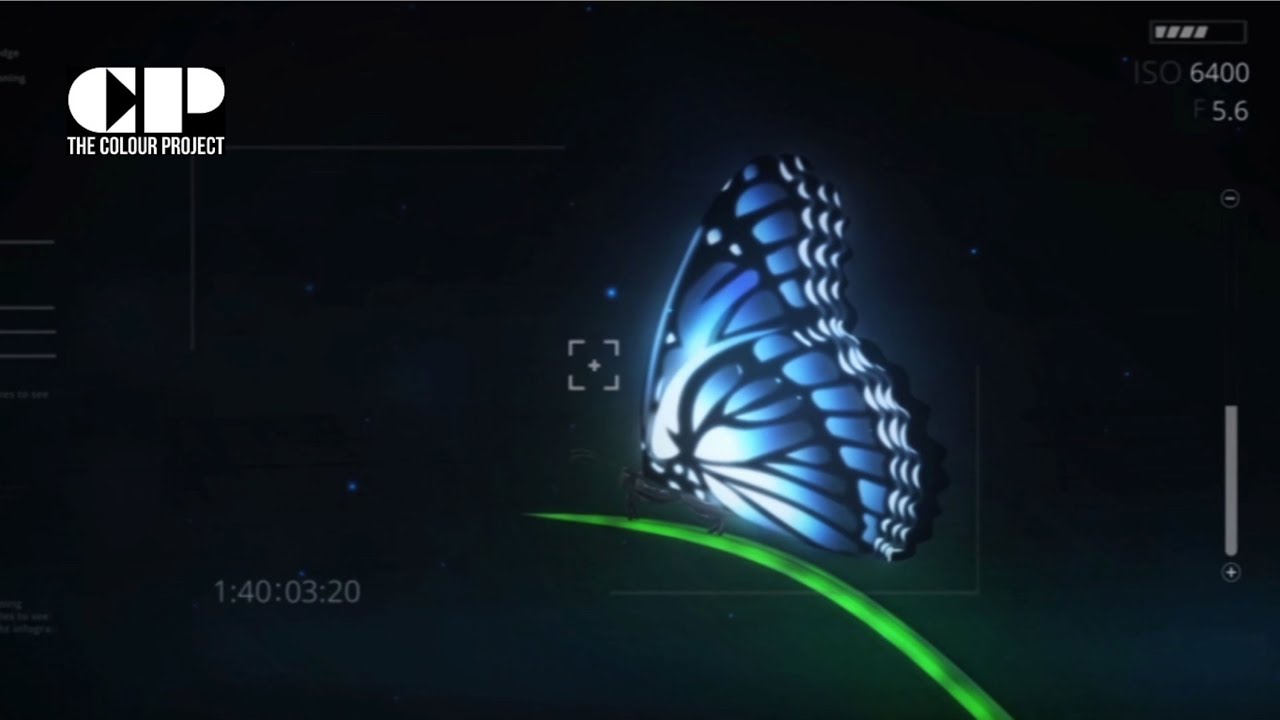 The Butterfly Effect - YouTube