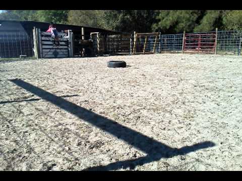 Bull Riding Practice Pen 4/2/13 - YouTube