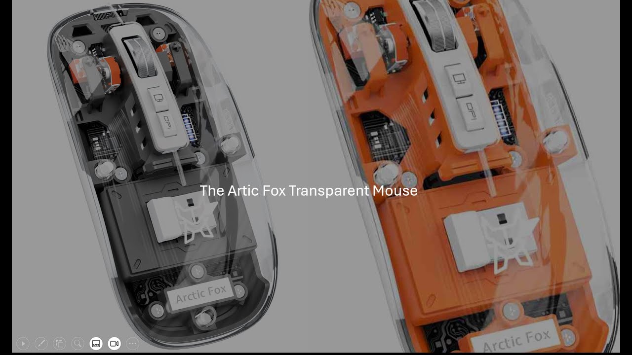 The Artic Fox Transparent Mouse - YouTube