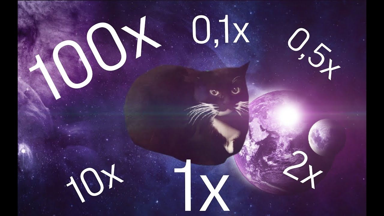 Maxwell The Cat Meme, But Very Fast And Slow | 0,1x-100x - YouTube