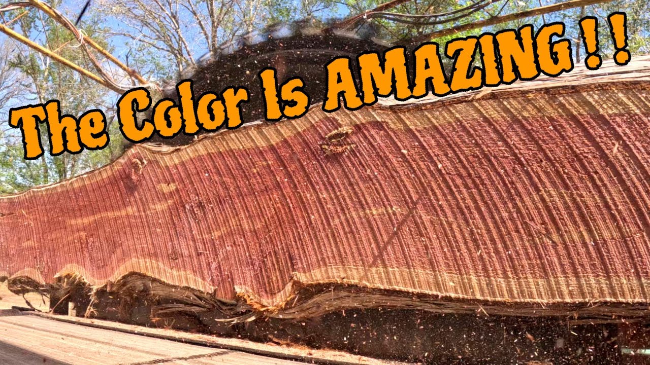 First Time I Have Ever Sawed Red Cedar Logs - YouTube