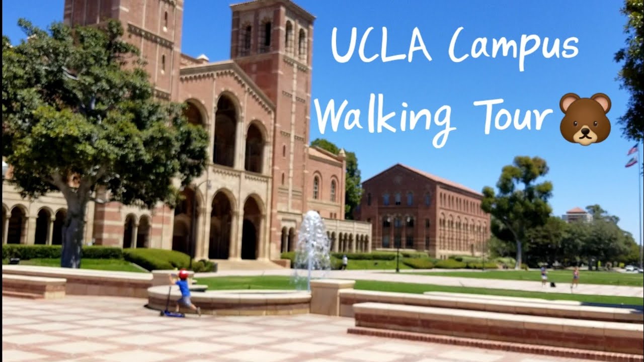 UCLA Campus Walk- UCLA 같이 걷기 - YouTube