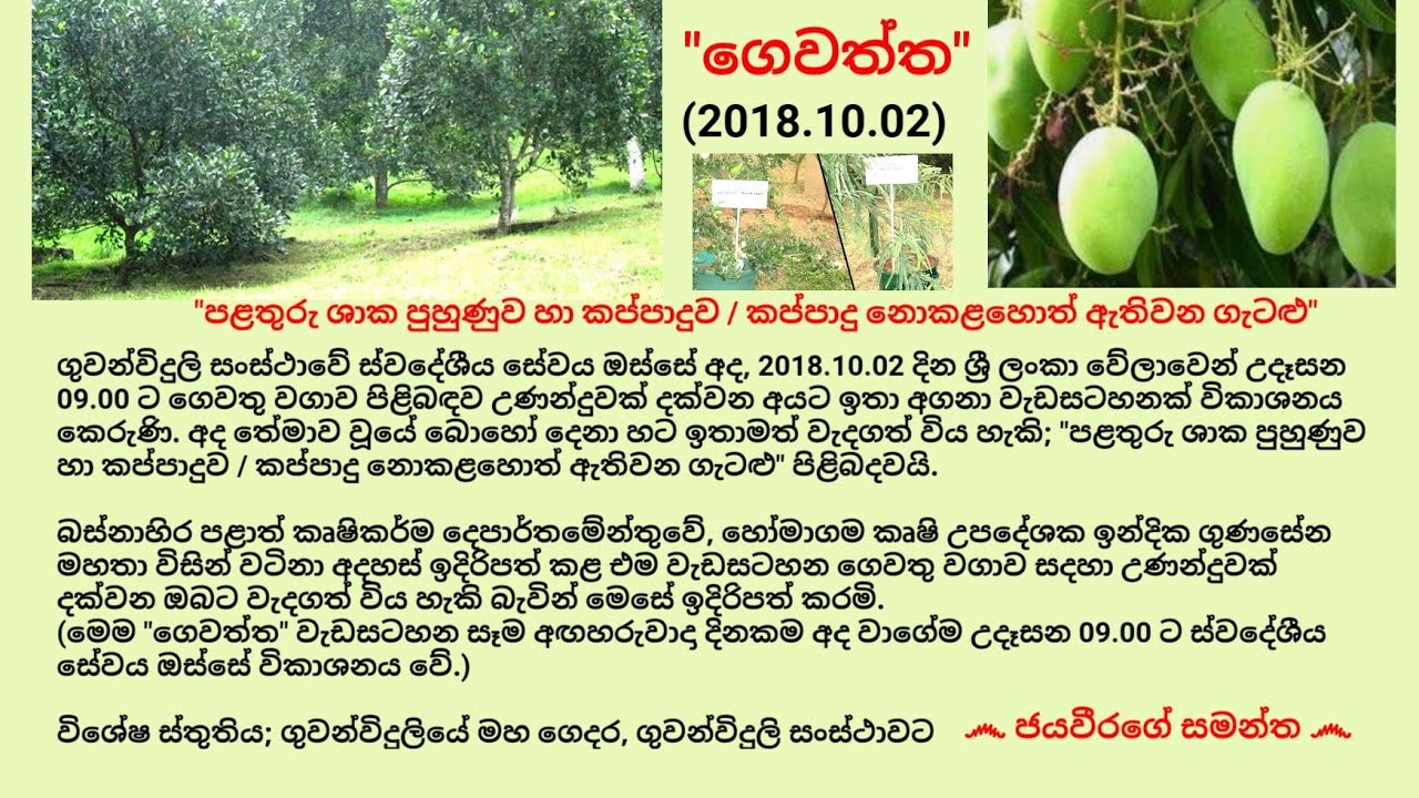 Gewaththa - Palathuru shaka puhunuwa ha kappadu kirima ගෙවත්ත - පළතුරු ...
