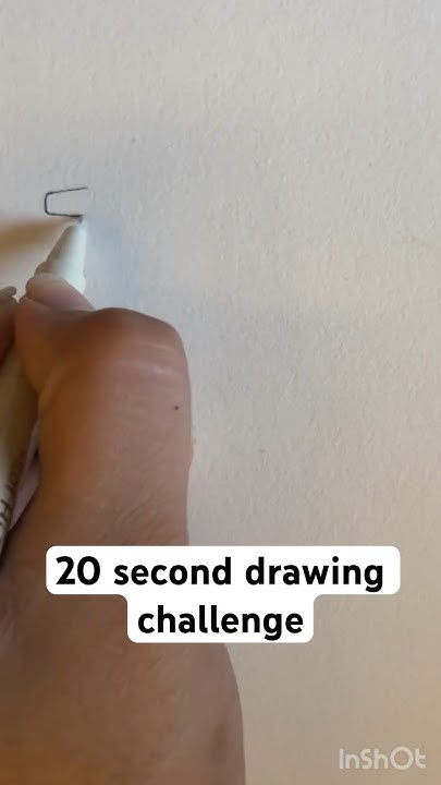 20 second drawing challenge #penart - YouTube