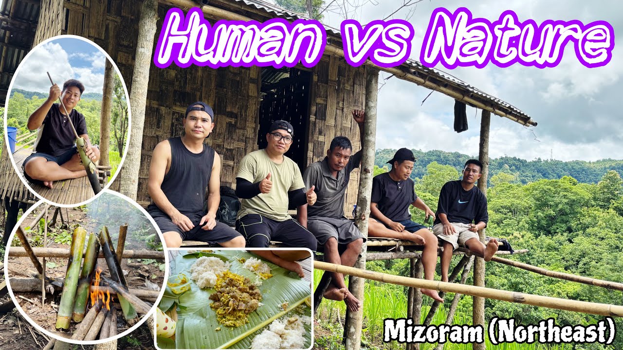 Human vs Nature || Natural Beauty of Mizoram || Jhum Cultivation of ...