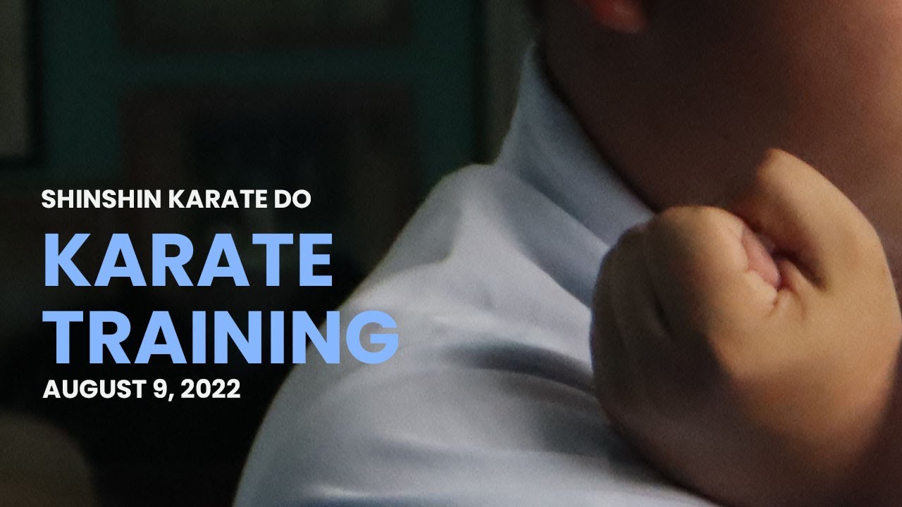 SSKI Karate Training (Basics and Heian Nidan) - August 9, 2022 - YouTube