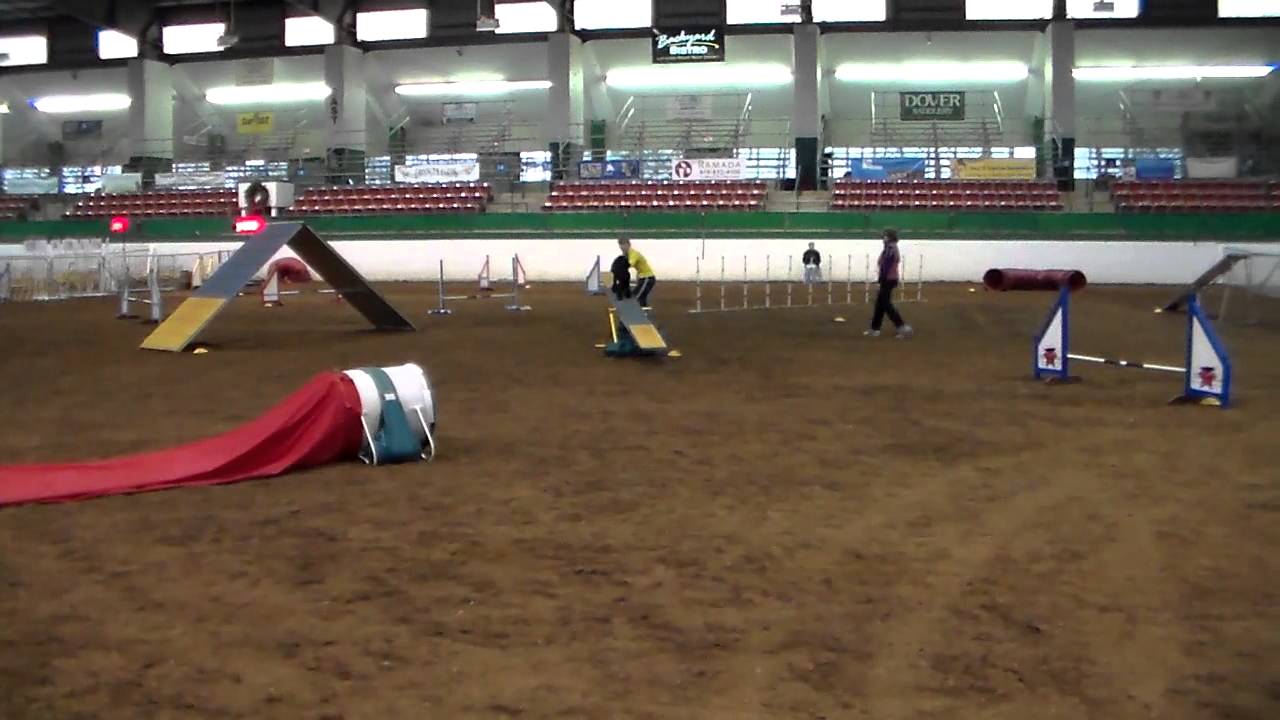 Diego Agility; USDAA P2/Advanced Standard Q; Raleigh NC - YouTube