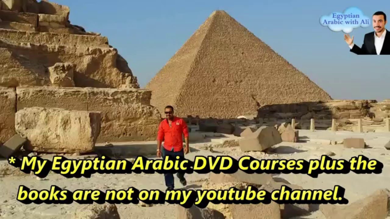 Arabic Lesson 44 about the rabbit ( Egyptian Arabic ) - YouTube