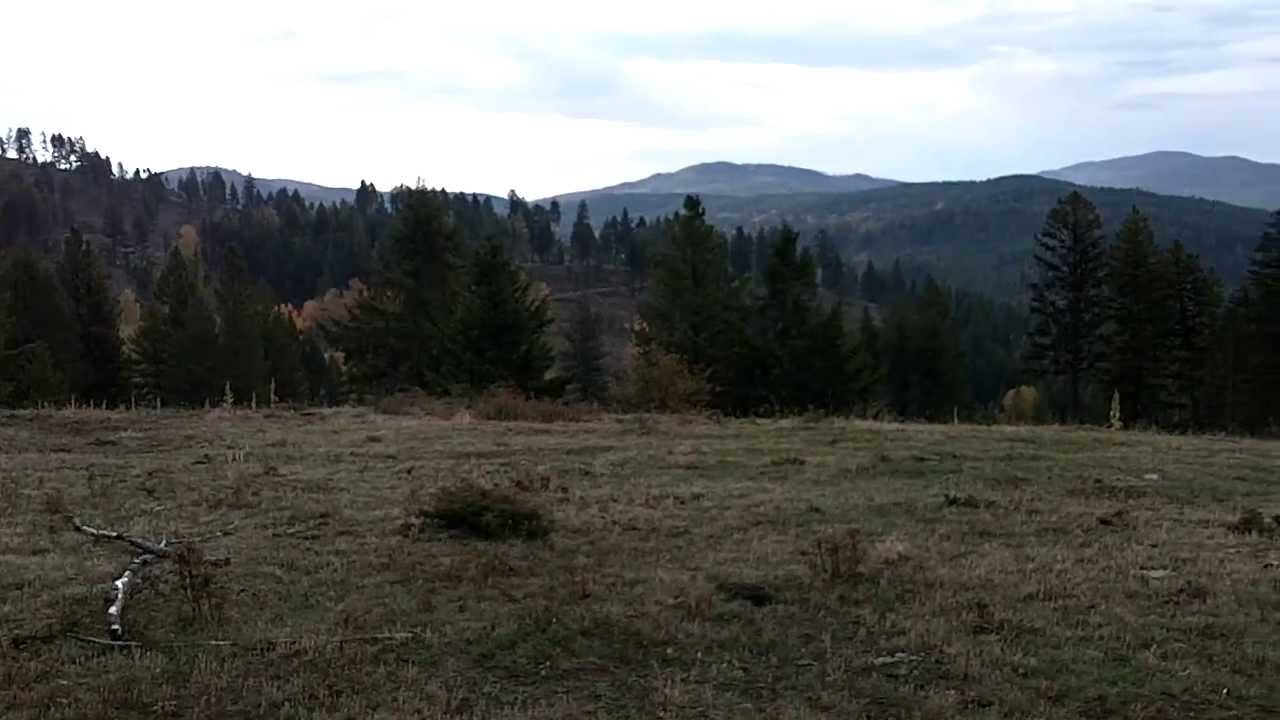 Hunting (Scouting) Greenwood Christian Valley area British Columbia ...