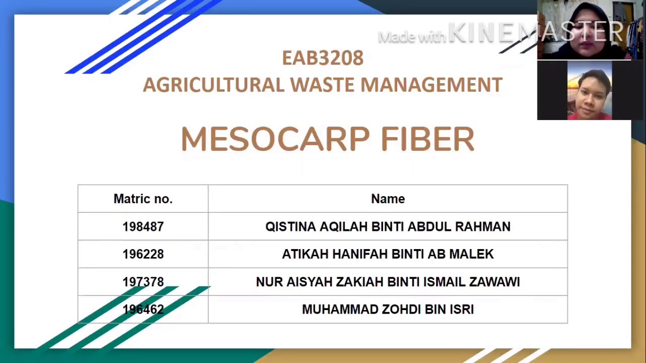 Mesocarp Fibre Presentation waste management. group Zohdi - YouTube
