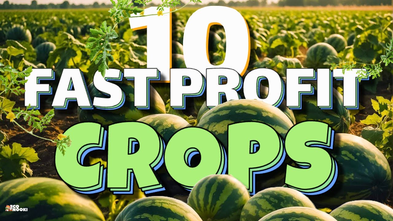 10 Fast Growing Crops for Beginners to Make Money Quickly! - YouTube