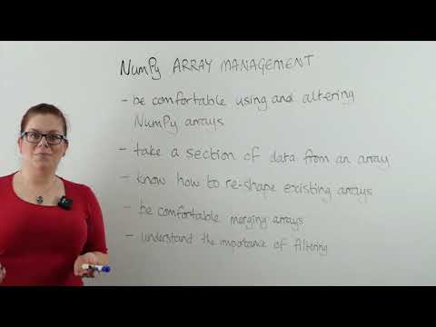 Numpy Array Management Conclusions - YouTube