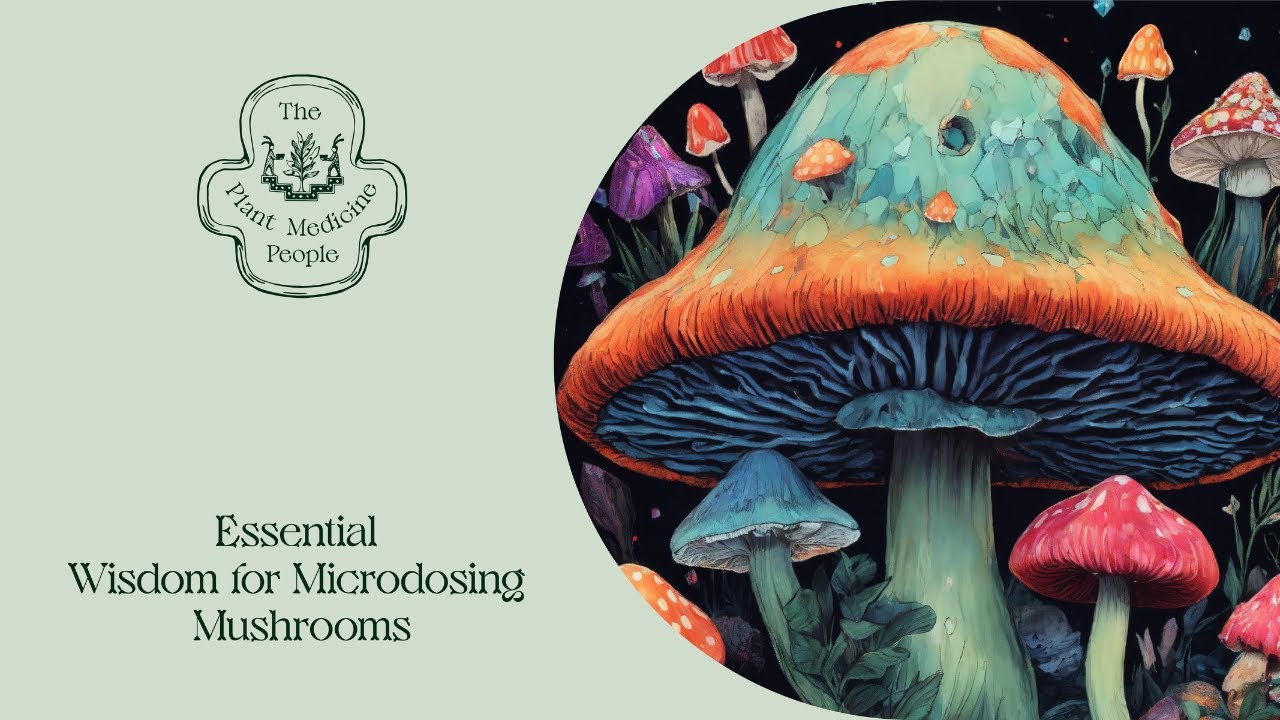 Essential Wisdom for Microdosing Mushrooms - YouTube