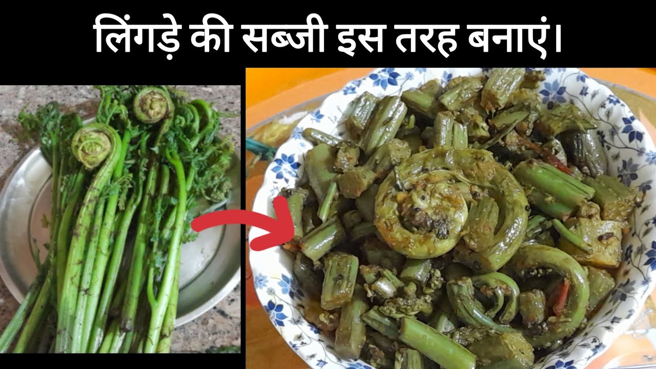 🔸🌺गढ़वाल की दुर्लभ जंगली सब्जी लिंगडे||Tippical wild Vegitable Lingde ...