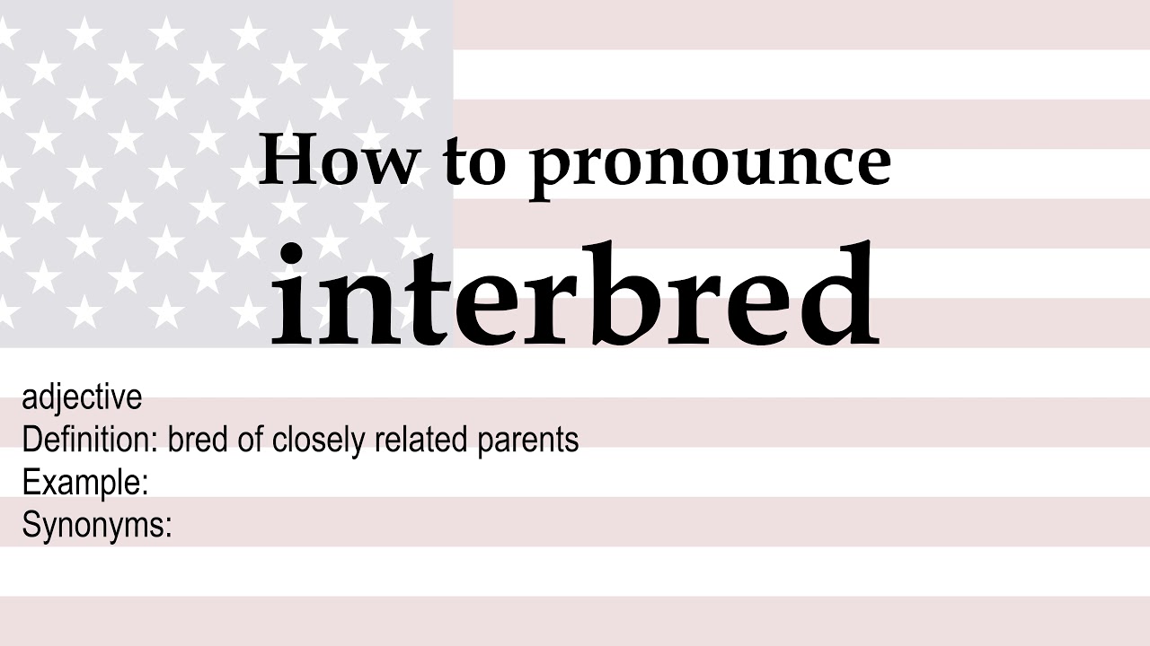 How to pronounce 'interbred' + meaning - YouTube