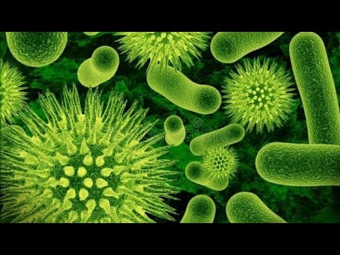 Bacteria Destroyer Energetic Programming (Experimental) | Sapien re ...