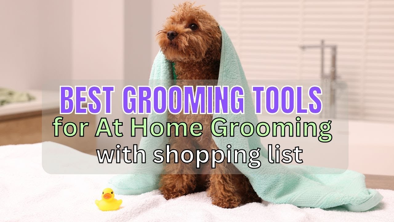 Best Grooming Tools for At Home Dog Grooming - YouTube