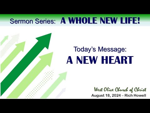 A Whole New Life! A New Heart - YouTube