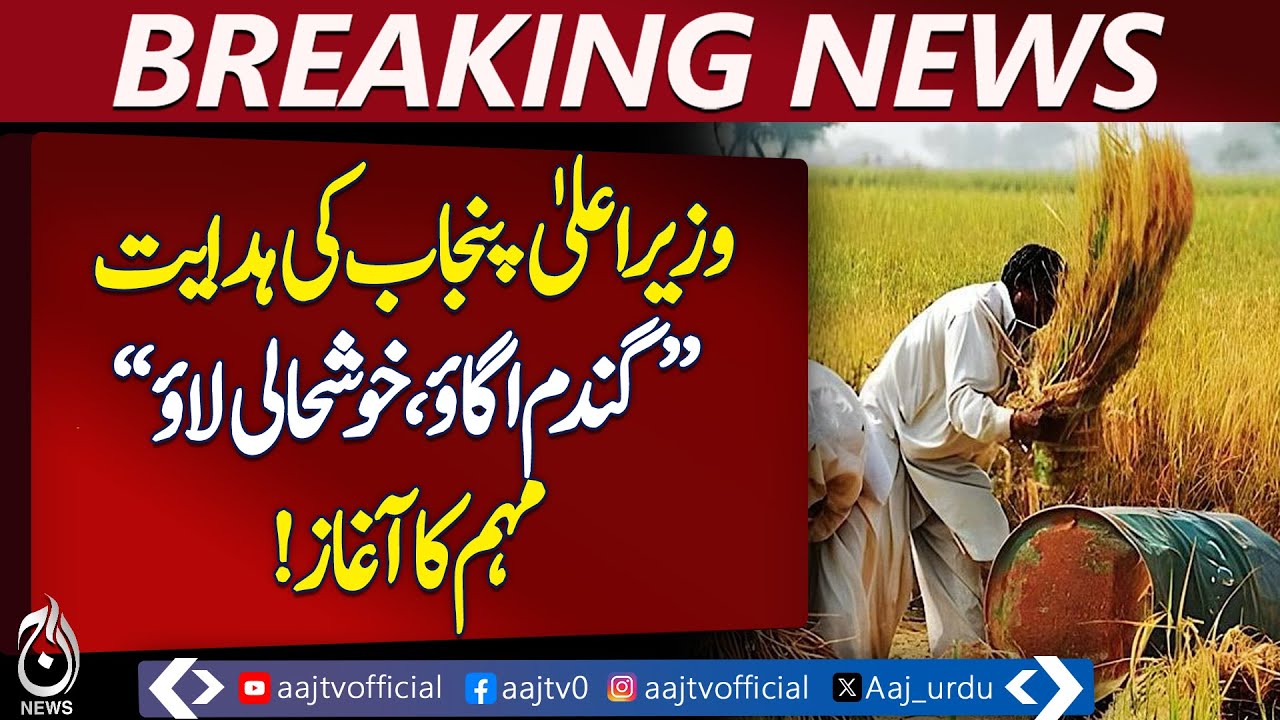 Punjab Launches “Grow Wheat, Bring Prosperity” Campaign in Muzaffargarh ...