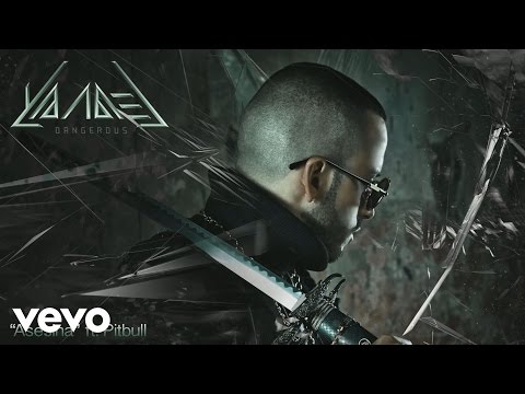 Yandel - Asesina (Cover Audio) ft. Pitbull