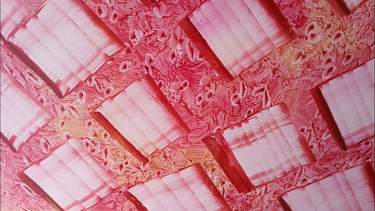 How To Apply Royal Play Wall Texture Design For Bedroom | Oil tube ...