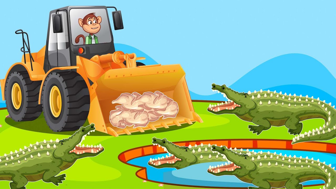 Monkeys Farm: Chicken Processing Factory and transporting for crocodile feeding | Vehicles Farm ...
