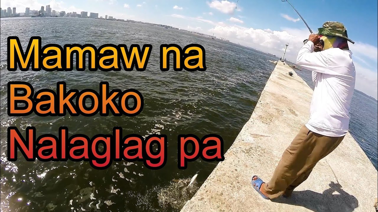 "Silver Grunter's Epic Fall: Hilarious Mishap Caught on Camera!" - YouTube