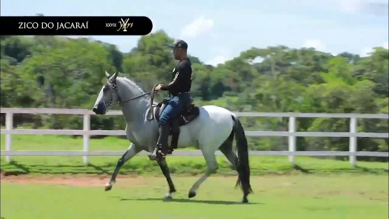 C 4 ZICO DO JACARAÍ 1 - YouTube