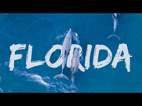 Flying Over Florida | DJI Air 3 Cinematic Drone Video - YouTube