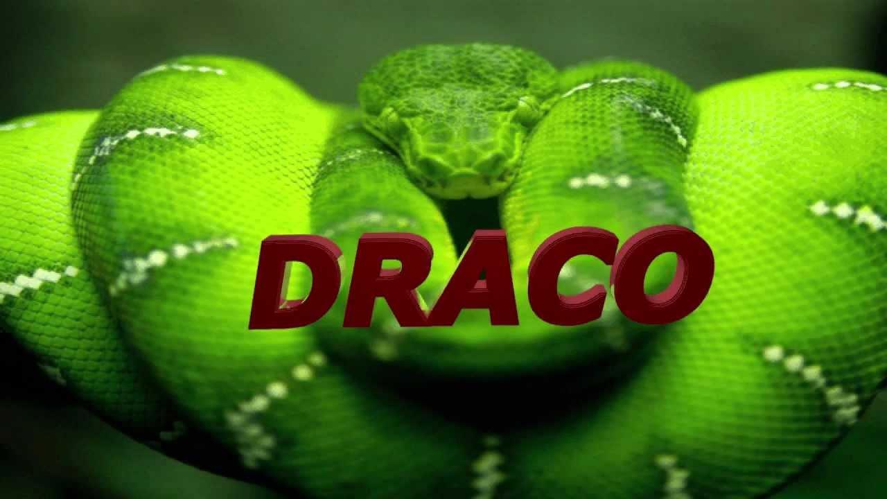 Nouvelle intro pour la team DRACO - YouTube