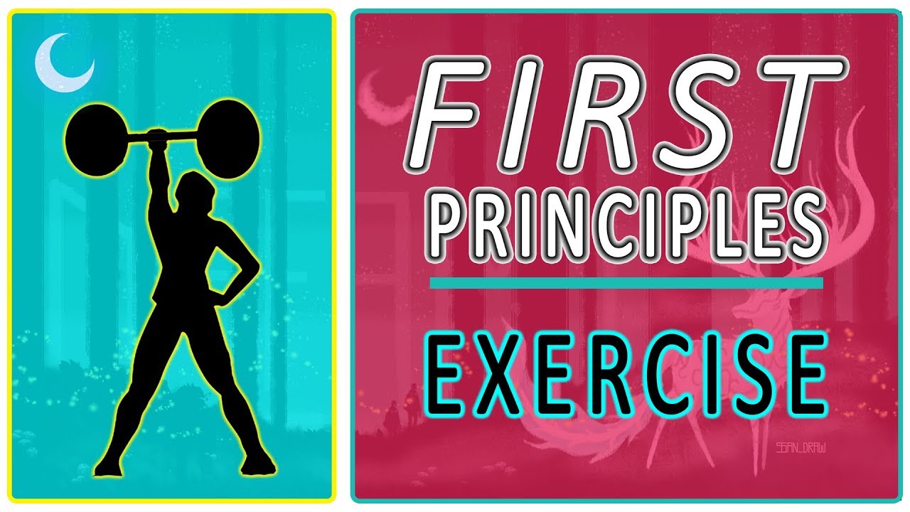 Exercise Motivation - First Principles Approach to Exercise - YouTube