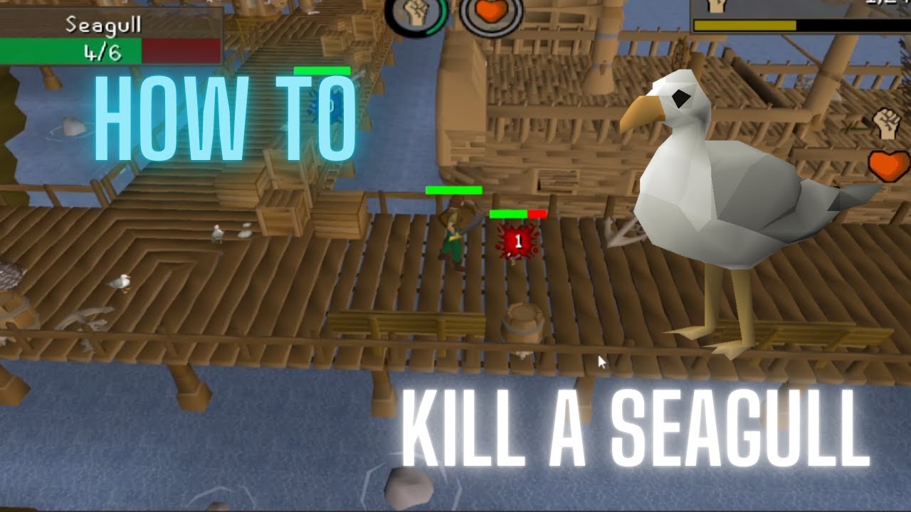 OSRS How to kill a seagull - YouTube