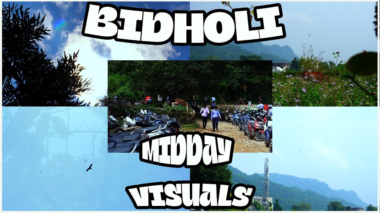Day 269 video | Bidholi MIDDAY Visuals 🍃 - YouTube
