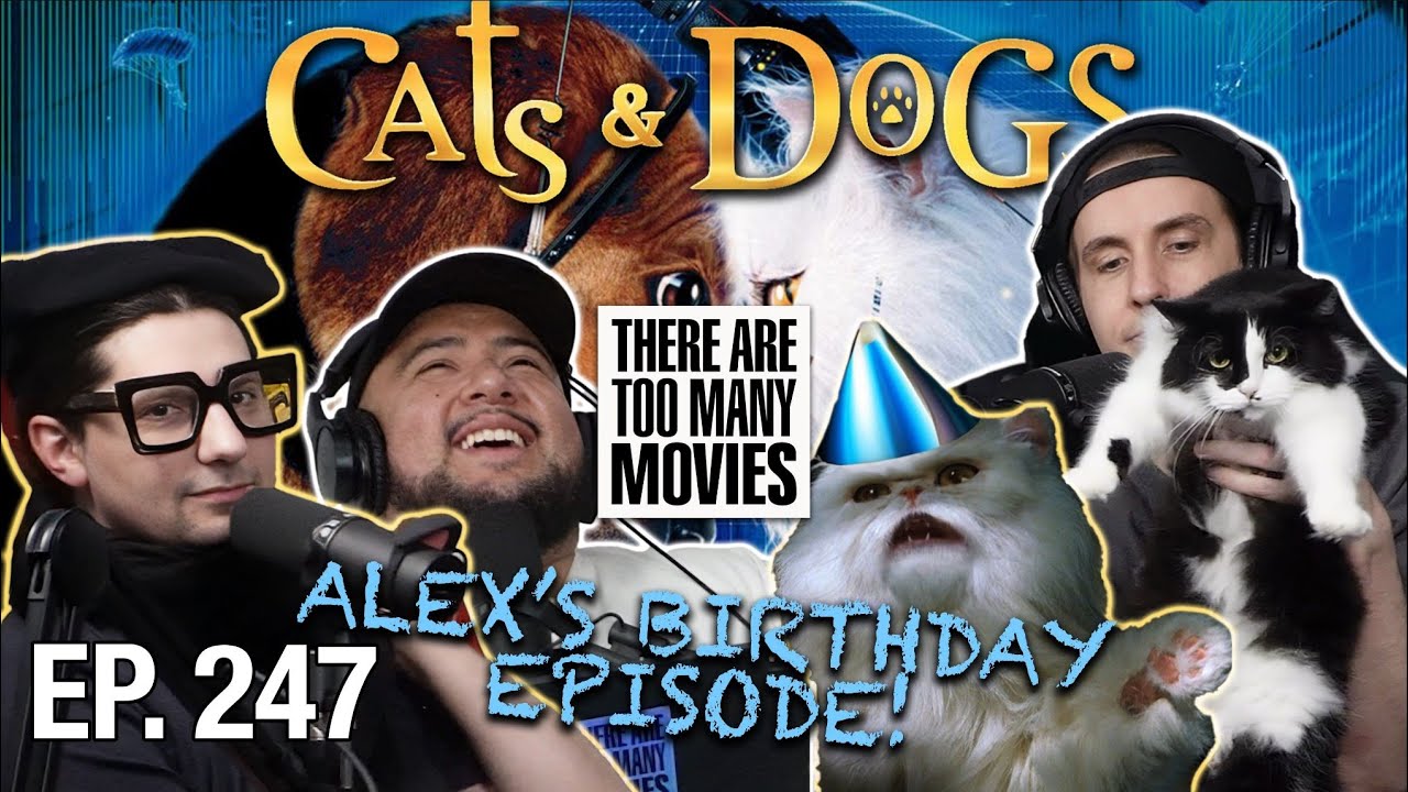 247. Cats & Dogs | Cats v Dogs: Dawgs Of Justice - YouTube