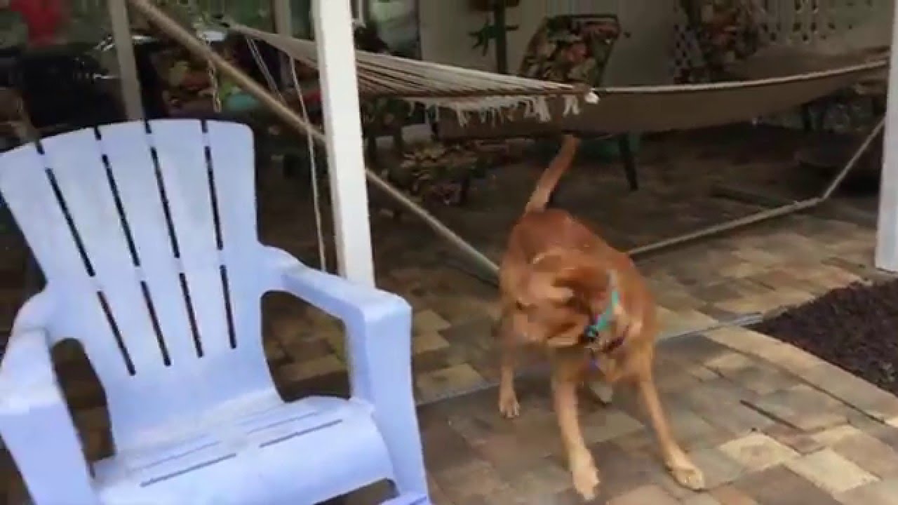 Cheeto - Plane, Car, Home. - YouTube