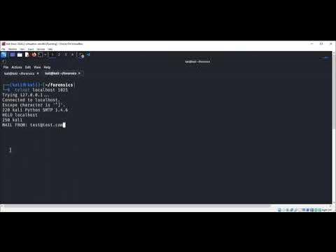 SMTP Server in Python and connect to it using Telnet. - YouTube