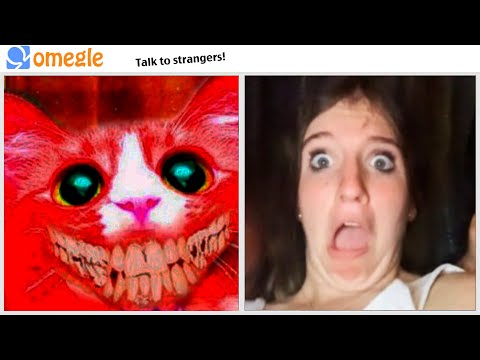 My cute cat JUMPSCARE TROLLING on OMEGLE