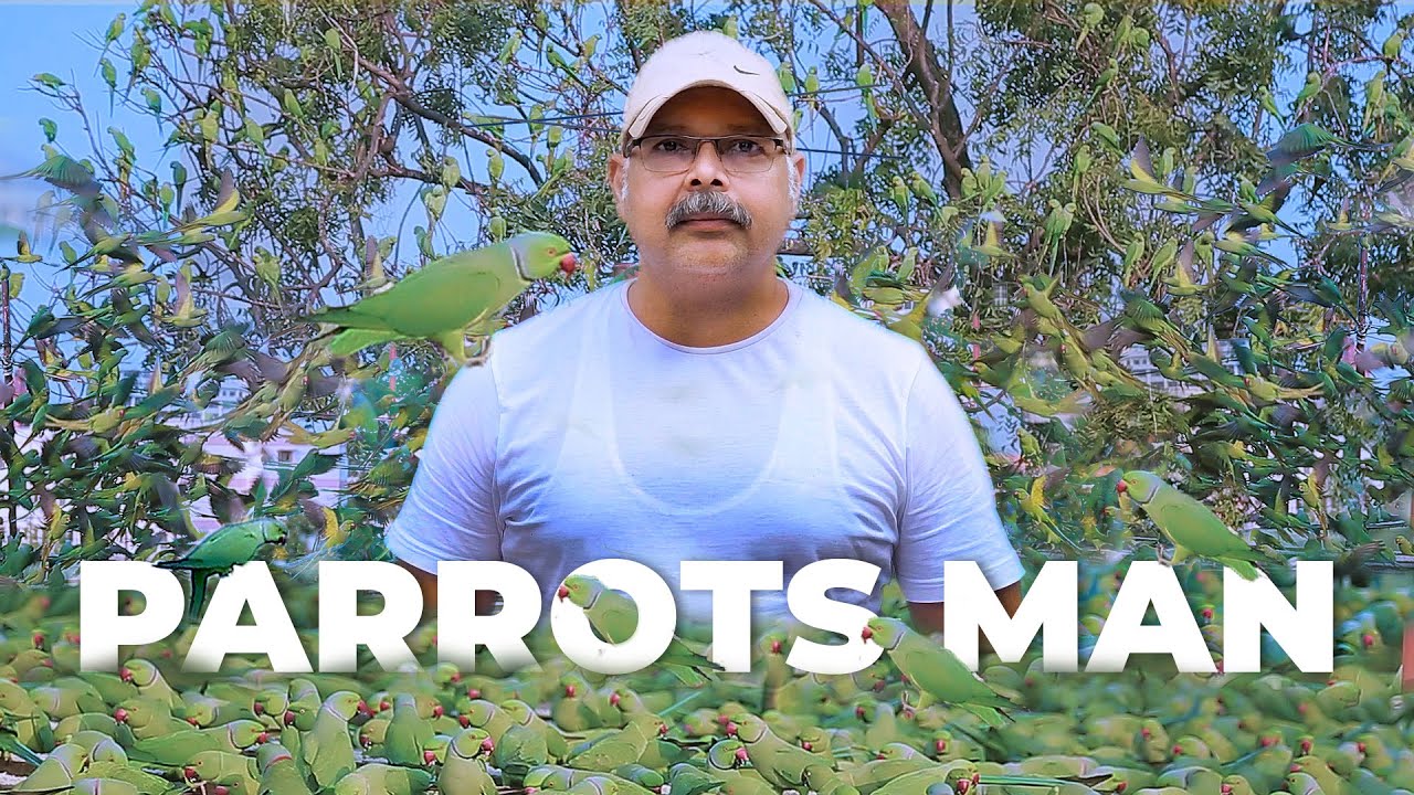 Parrot Man Story | Feeds 6,000 Birds Every Day | Parrot Sudarshan ...