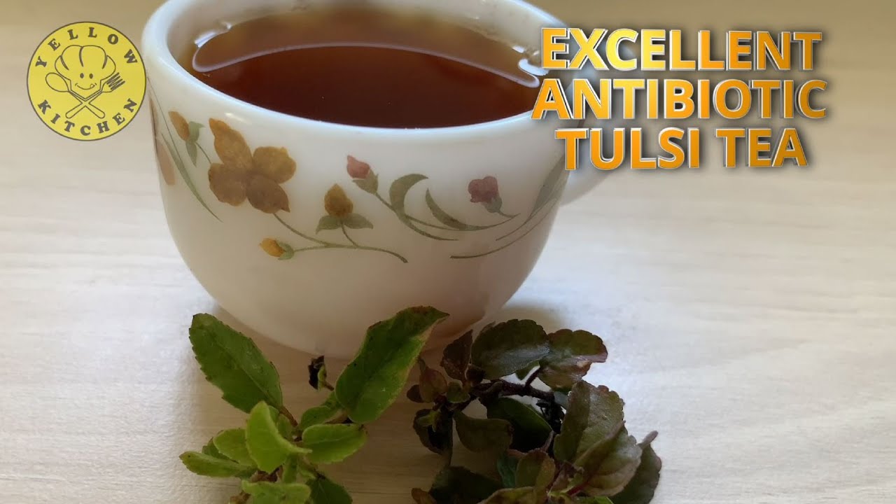 Excellent Antibiotic Tulsi Tea Recipe In Tamil | Holy Basil Tea | துளசி ...