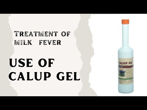 Use of Calup Gel🧴| Vetcare Products | Veterinary medicine list | # ...