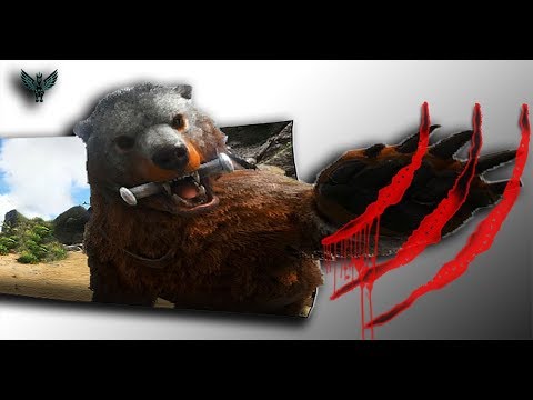 ARK DINO TLC PATCH PHASE 1: DIREBEAR ABILITIES AND TESTING - YouTube