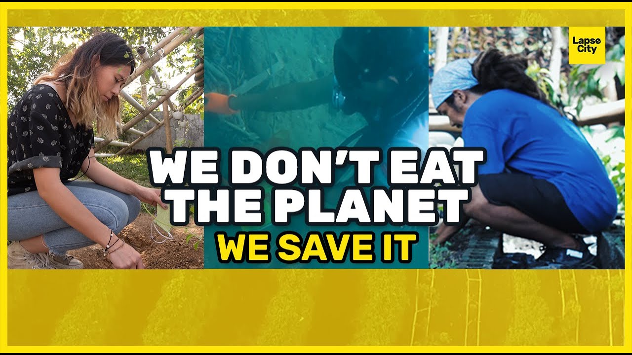 Filipino Stories of Environmental Initiatives | Documentary Philippines ...
