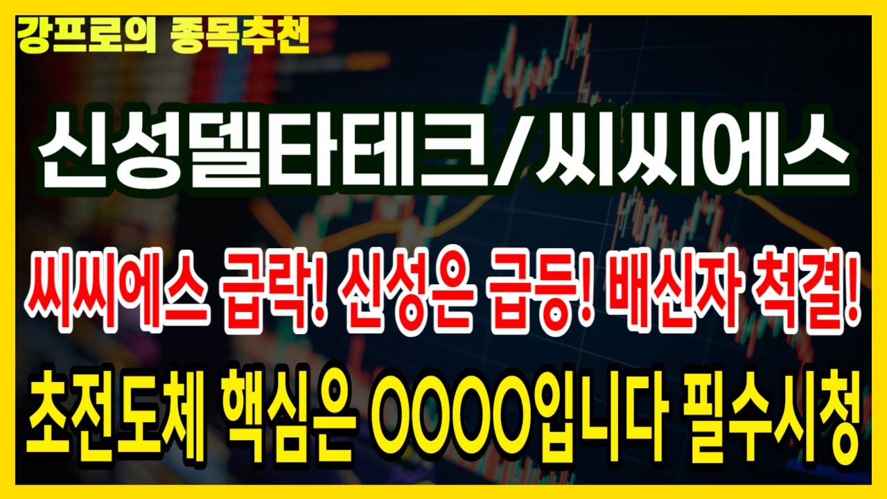 신성델타테크 주가전망 씨씨에스주가전망 씨씨에스 급락 신성은 급등 배신자 척결 완료 신성델타테크주가전망 신성델타