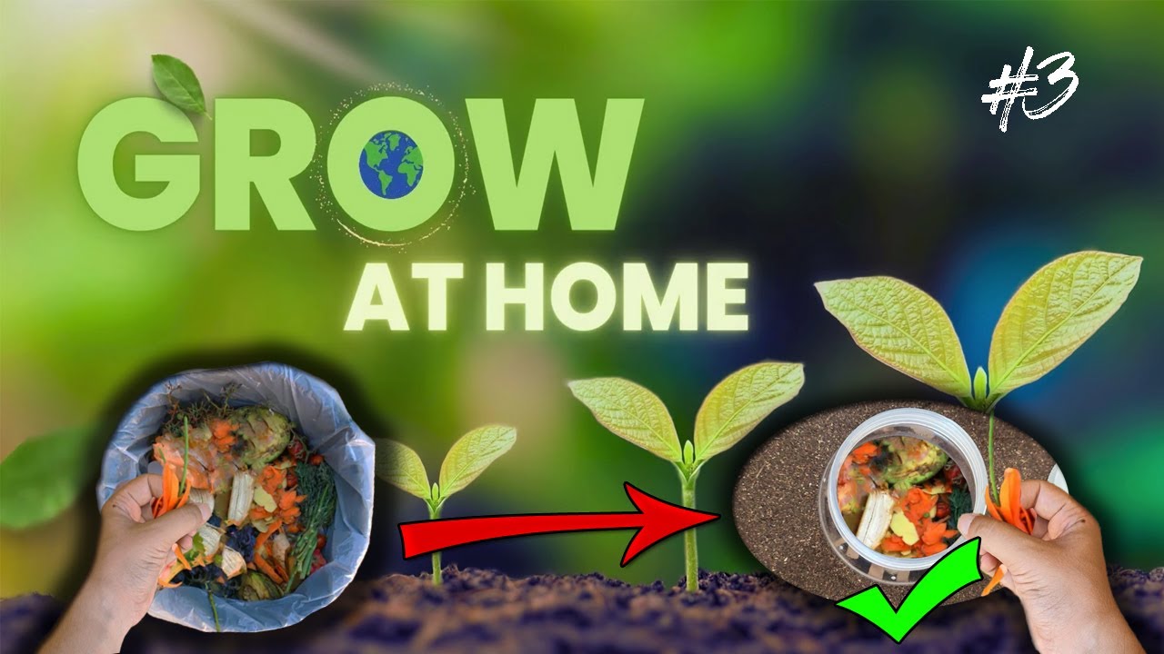 HOW TO COMPOST ALMOST EVERYTHING IN A PLANTING POT - GROW AT HOME #3 # ...