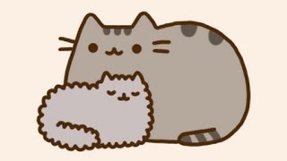 Stormy Pusheen Real Cat