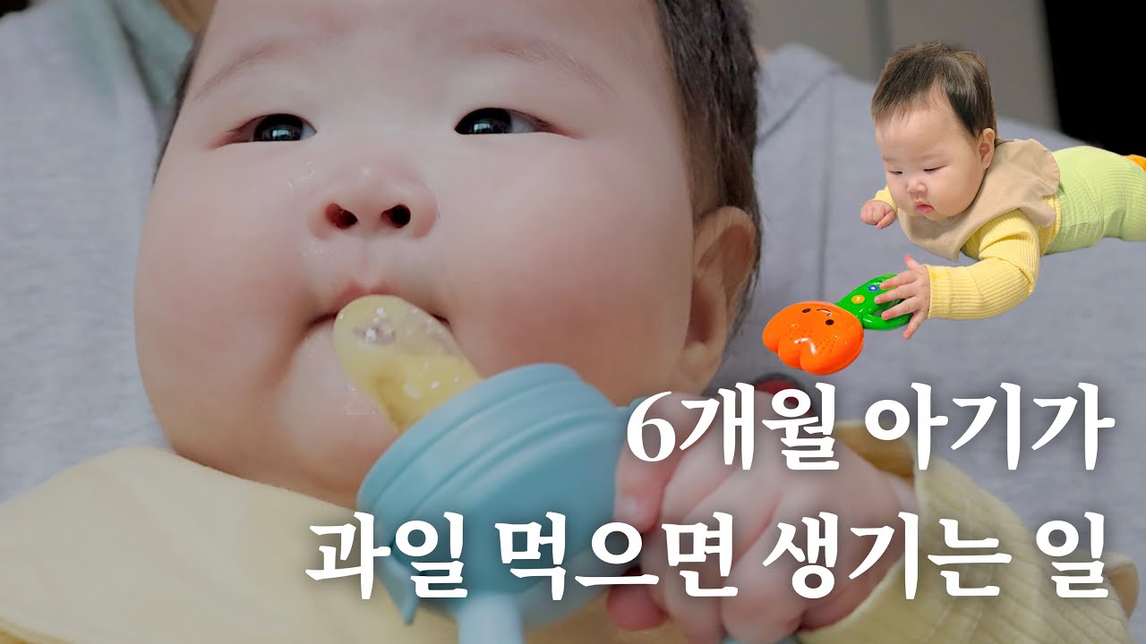 육아 브이로그ㅣ이유식을 시작한 먹보 6개월아기의 일상ㅣ하루종일 큐브공장 돌리는 엄마의 하루ㅣ 초기이유식 첫 소고기 영접
