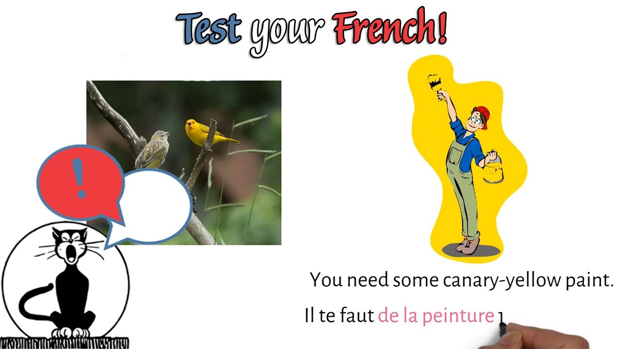 Learn French compound colour adjectives & the verb falloir in the ...