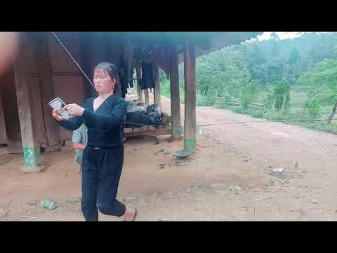 xav paub niam tsheej muas qhia qhov tseeb log saib nawb. 25/8/ 2022. - YouTube