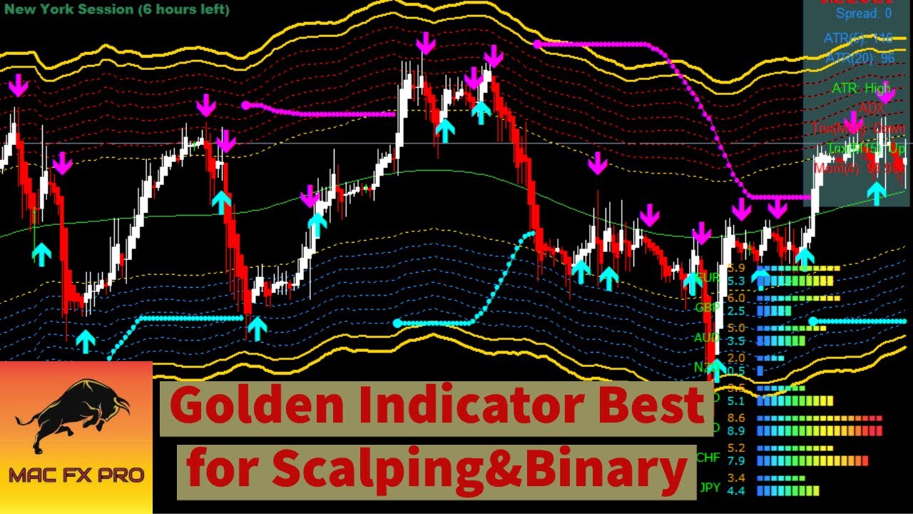 Golden Road Indicator for Forex Traders | Best for Beginners - YouTube